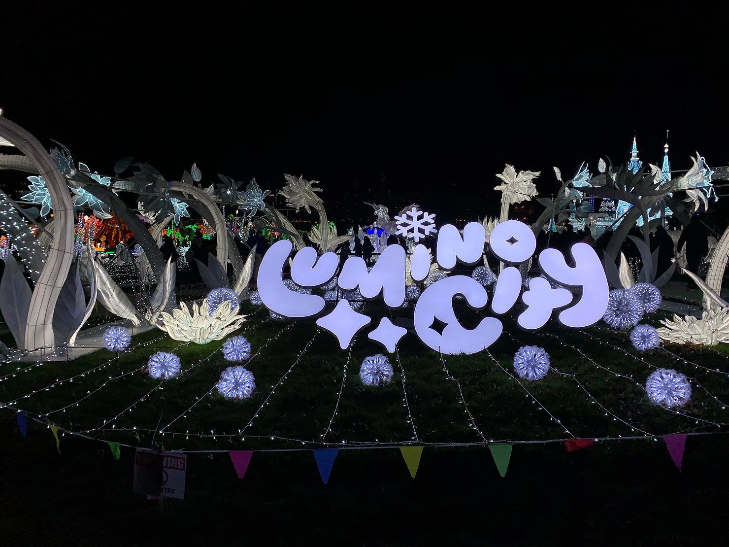Luminocity NYC: Immerse Yourself in the Holiday Spirit - Rambling ...