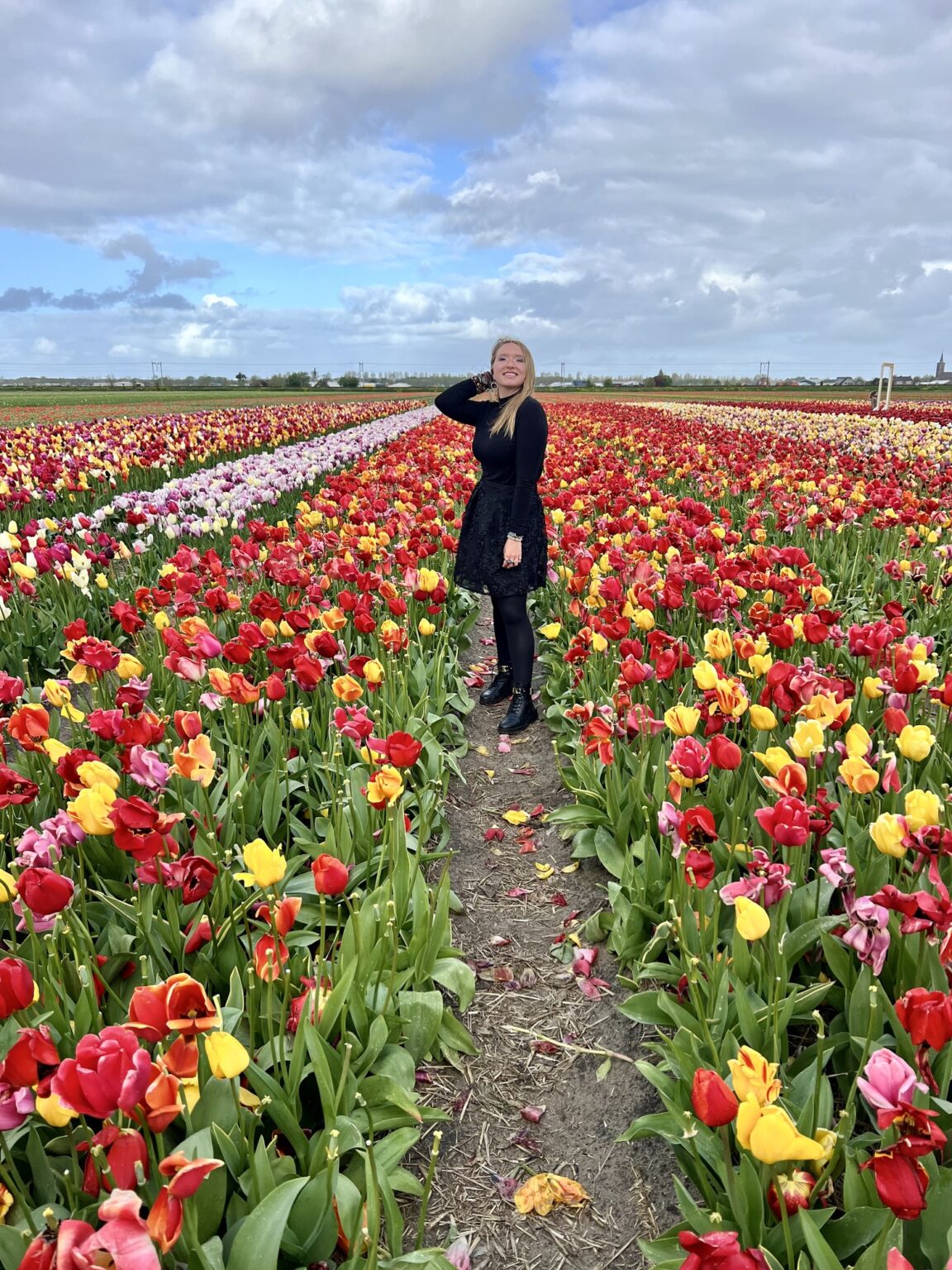 Travel Guide to Lisse, Netherlands | Rambling Adventurista